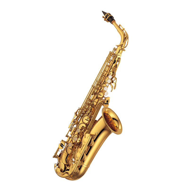 TWINKLE ARGENTERIA & STRUMENTI MUSICALI