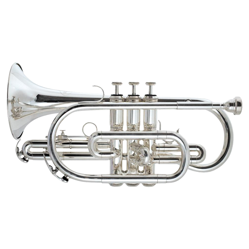 TWINKLE SILVER & MUSICAL INSTRUMENTS CARE